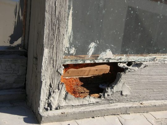 Should I Repair or Replace Windows in My Home? | Apex Window Werks