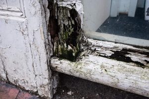 How to Replace Rotted Wood Around Window | Apex Window Werks