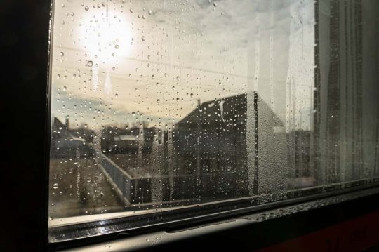 Causes of Mold Between Window Panes and How to Fix It | Apex Window Werks